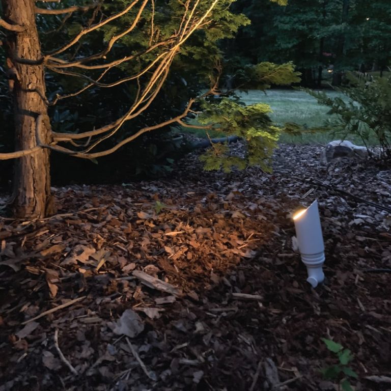 BL11 "Alexander" Mini Up-Directional Light - ClaroLux