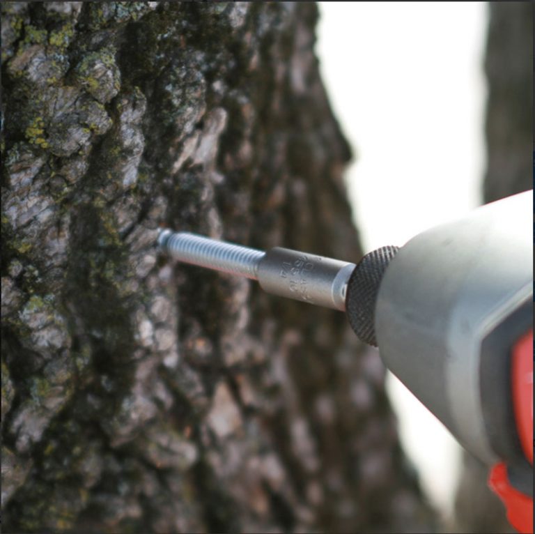 Hanger Bolt Driver - ClaroLux
