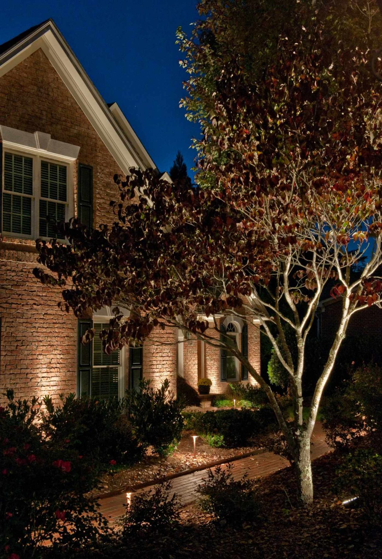 Coltrane 8143 | Clarolux